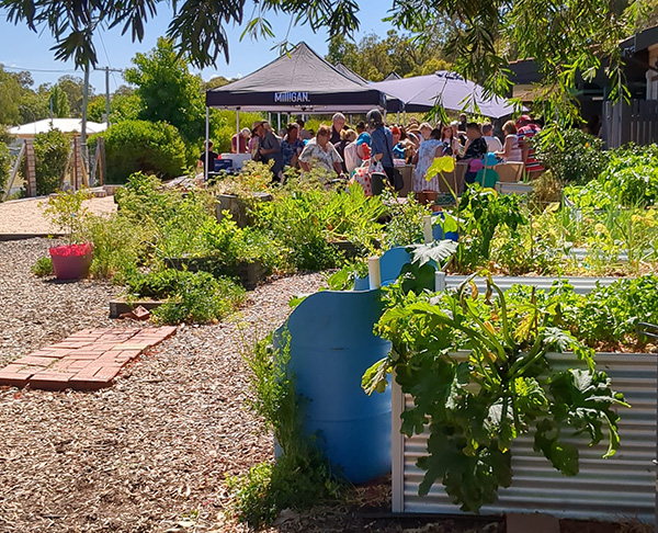 Community Gardens: Cultivating Connection - Linkwest